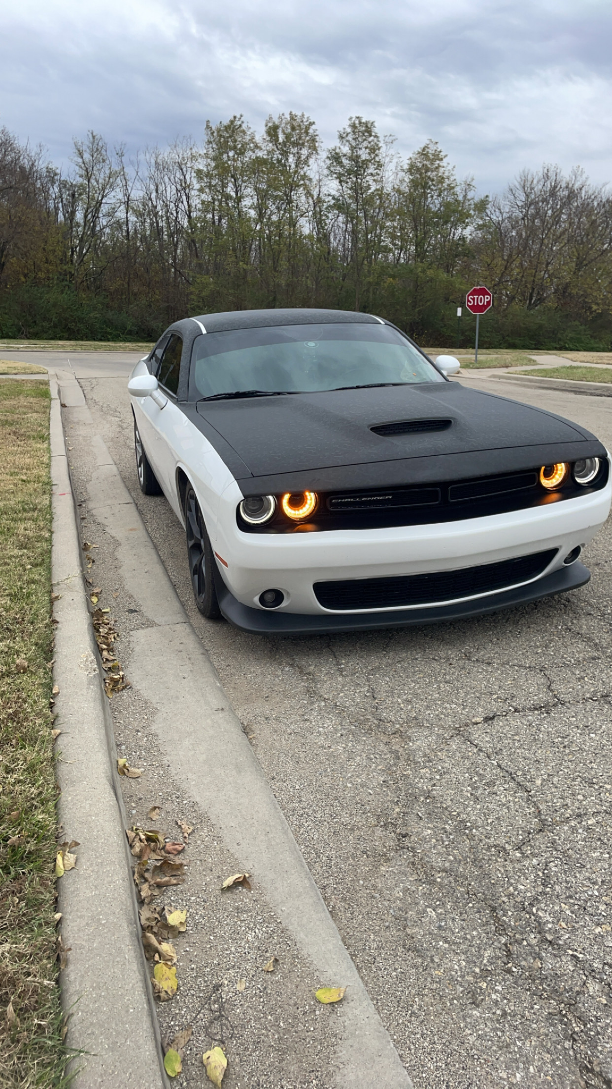 Squid Syndicate | Premium Car Wraps & SyndiK8 Apparel